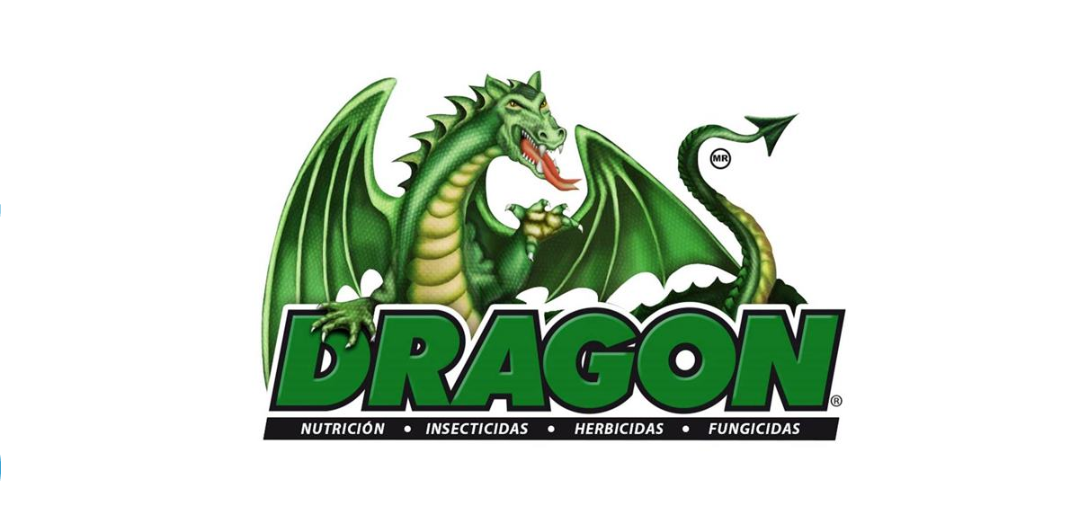 Empresas Dragón©-Login